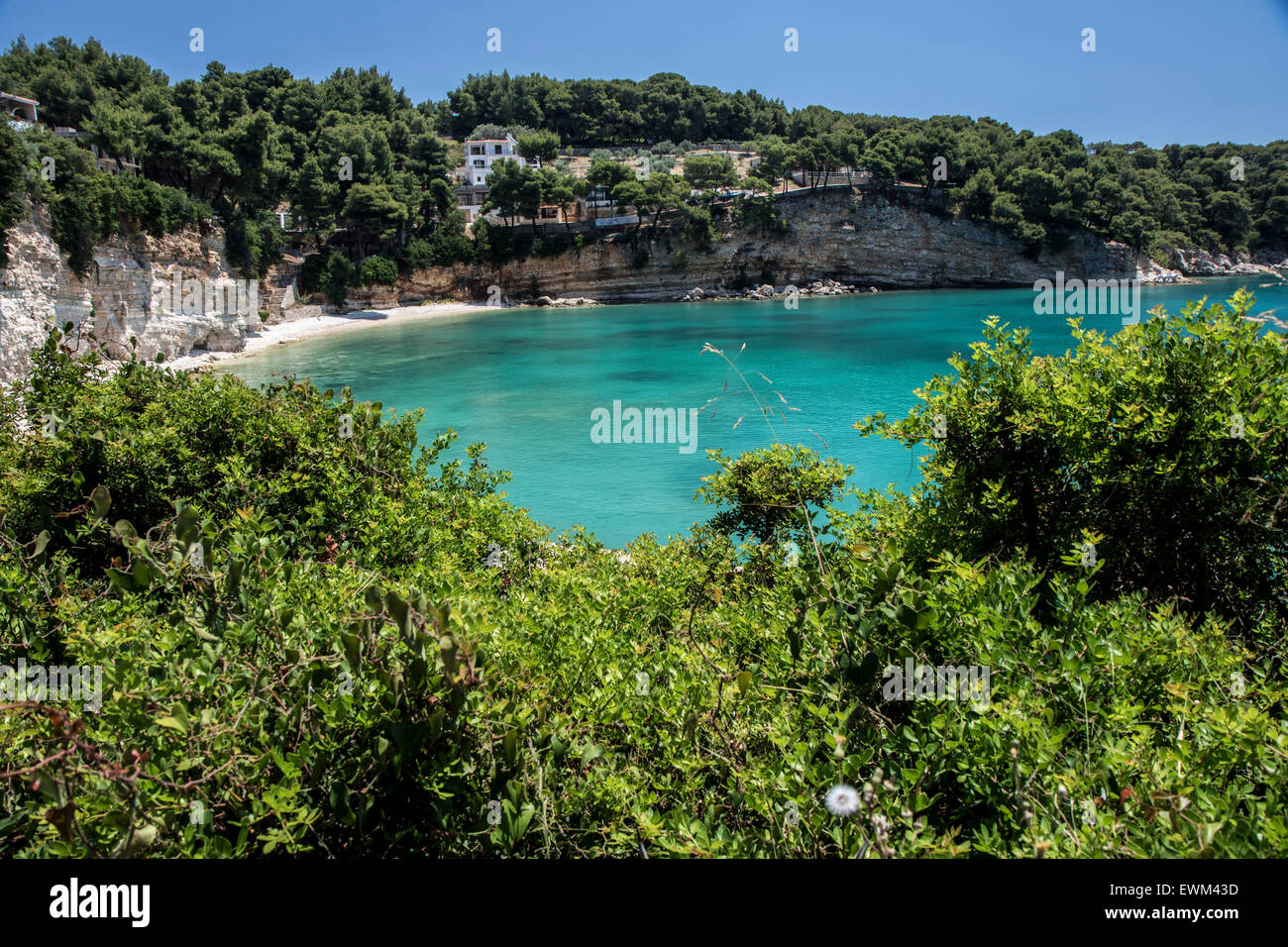 Alonissos greece seals hi-res stock photography and images - Alamy