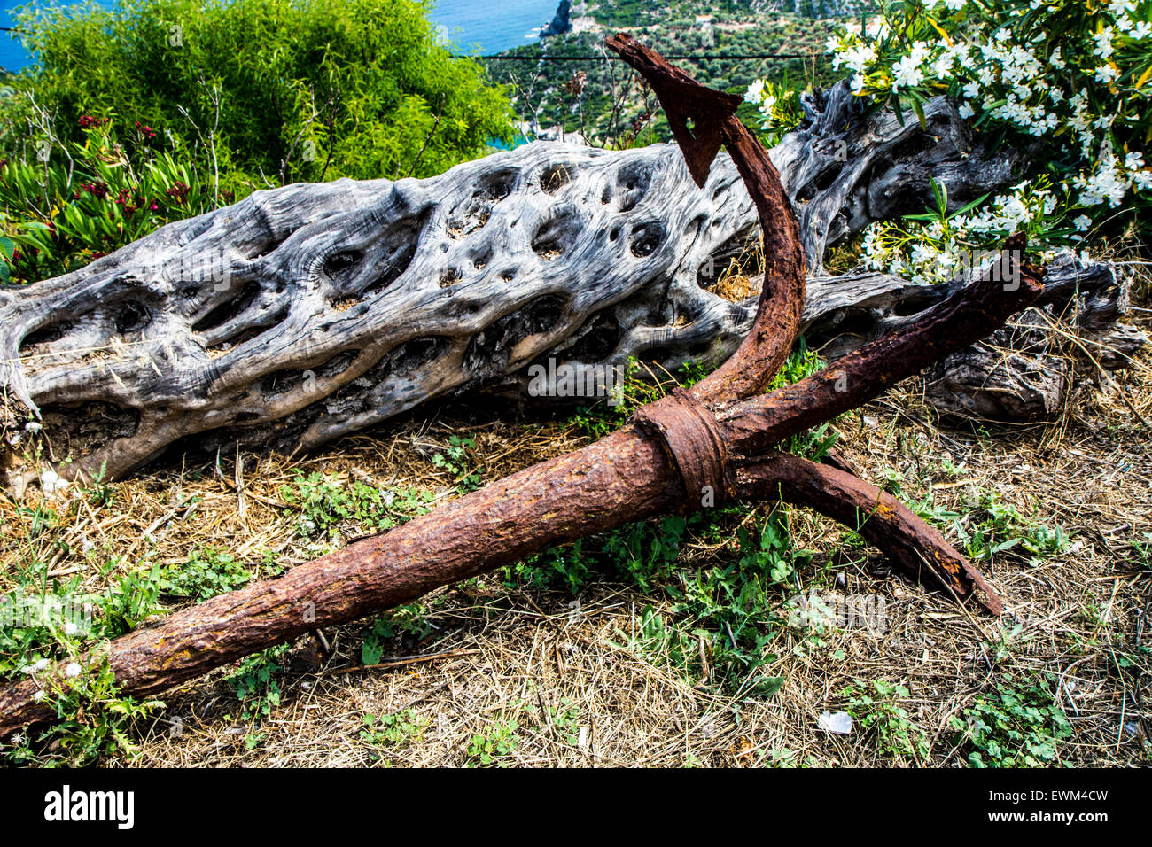 Alonnisos greece dolphin hi-res stock photography and images - Alamy