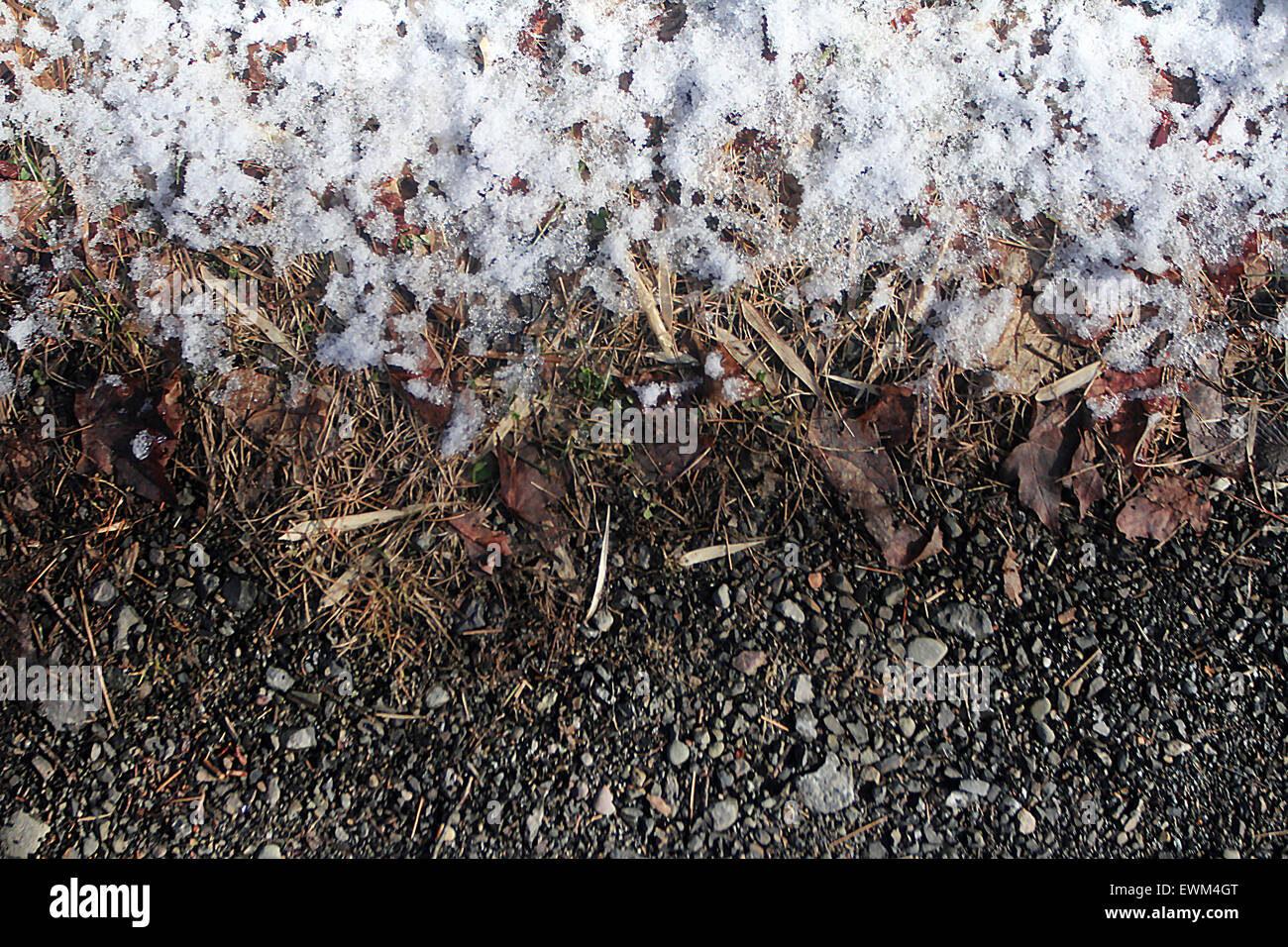 Closeup of snow on dead grass and pebbles Stock Photo - Alamy