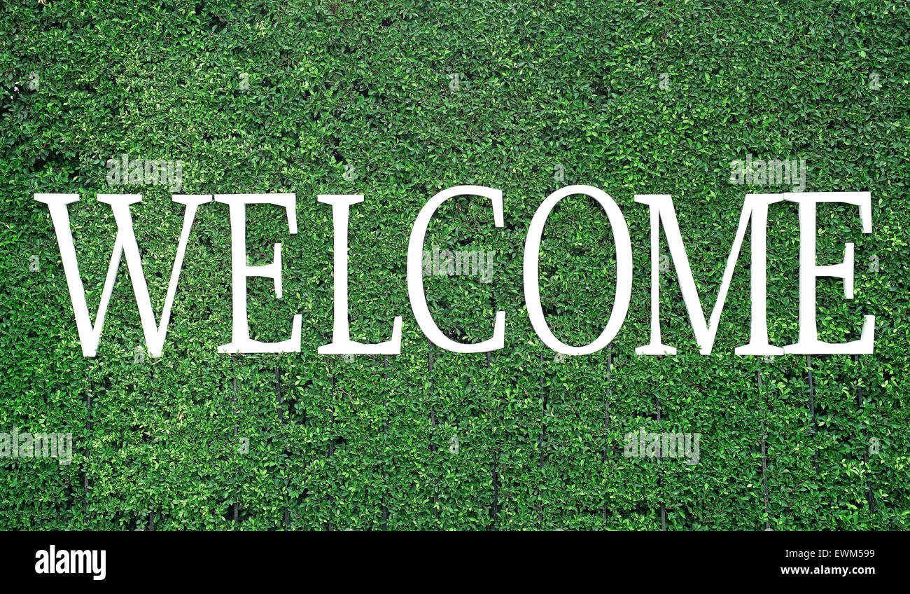 white welcome word on green tree background Stock Photo - Alamy