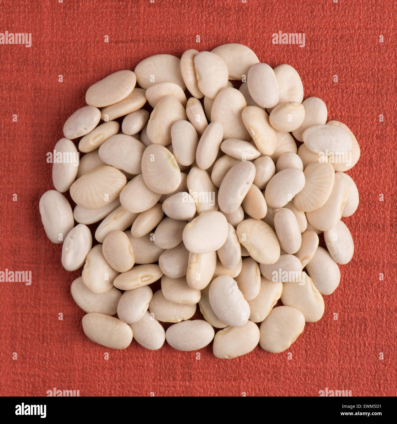 Top view of circle of white beans against red vinyl background Stock ...