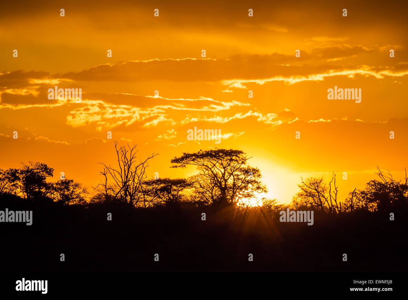 African background hi-res stock photography and images - Alamy