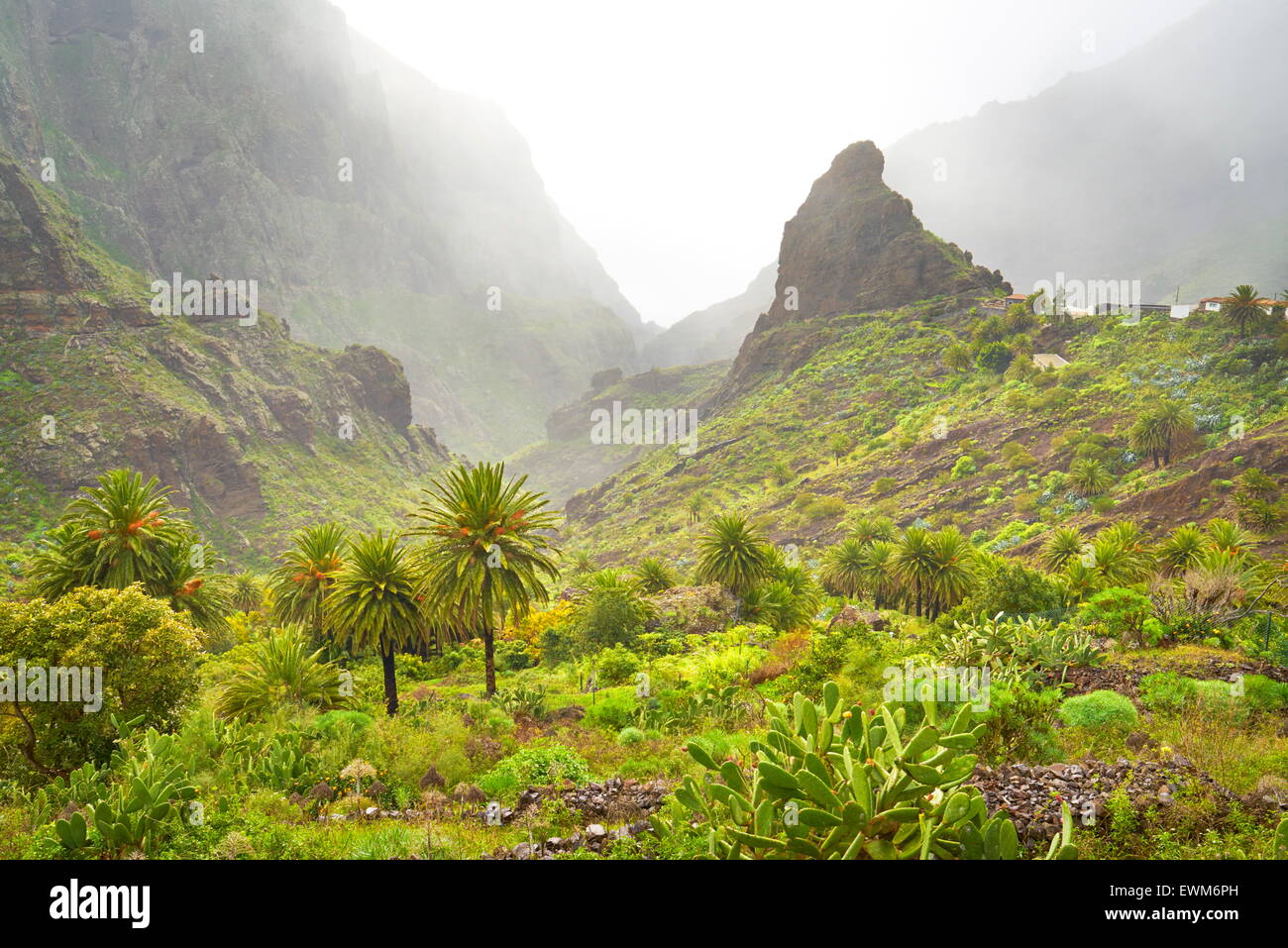 Aerial view of tenerife canary islands hi-res stock photography and ...