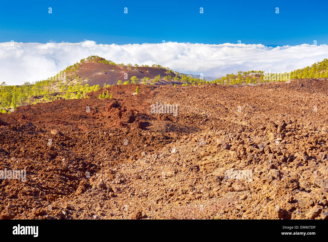 Volcanic landscape, Teide National Park, Tenerife, Canary Islands ...