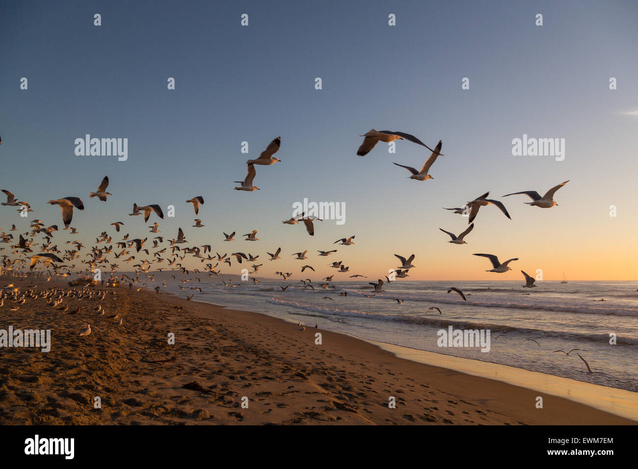 Sunset flight away over ocean hi-res stock photography and images - Alamy
