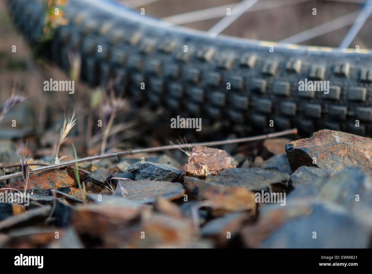 A mountain bike wheel rests on the ground Stock Photo - Alamy
