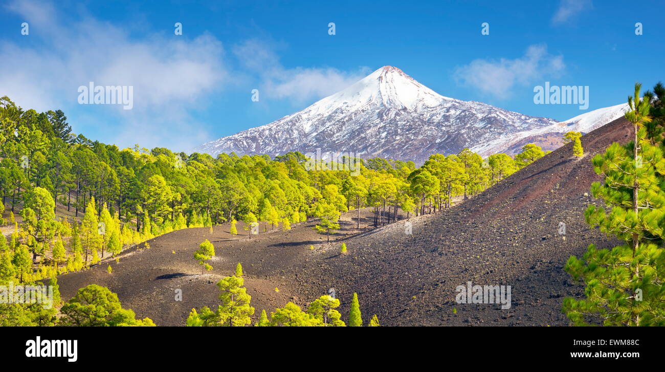 Tenerife - view of Teide Volcano Mount, Canary Islands, Spain Stock ...