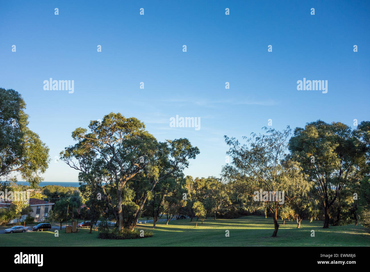 Australian bush landscape hi-res stock photography and images - Alamy
