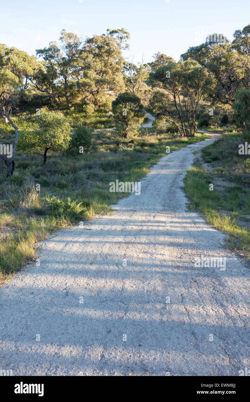 Australian bush walk hi-res stock photography and images - Alamy