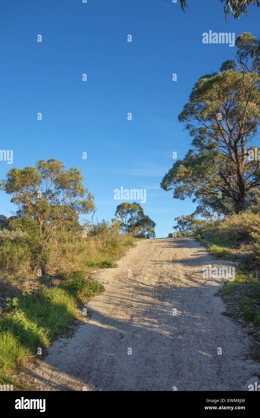 Australian bush landscape hi-res stock photography and images - Alamy