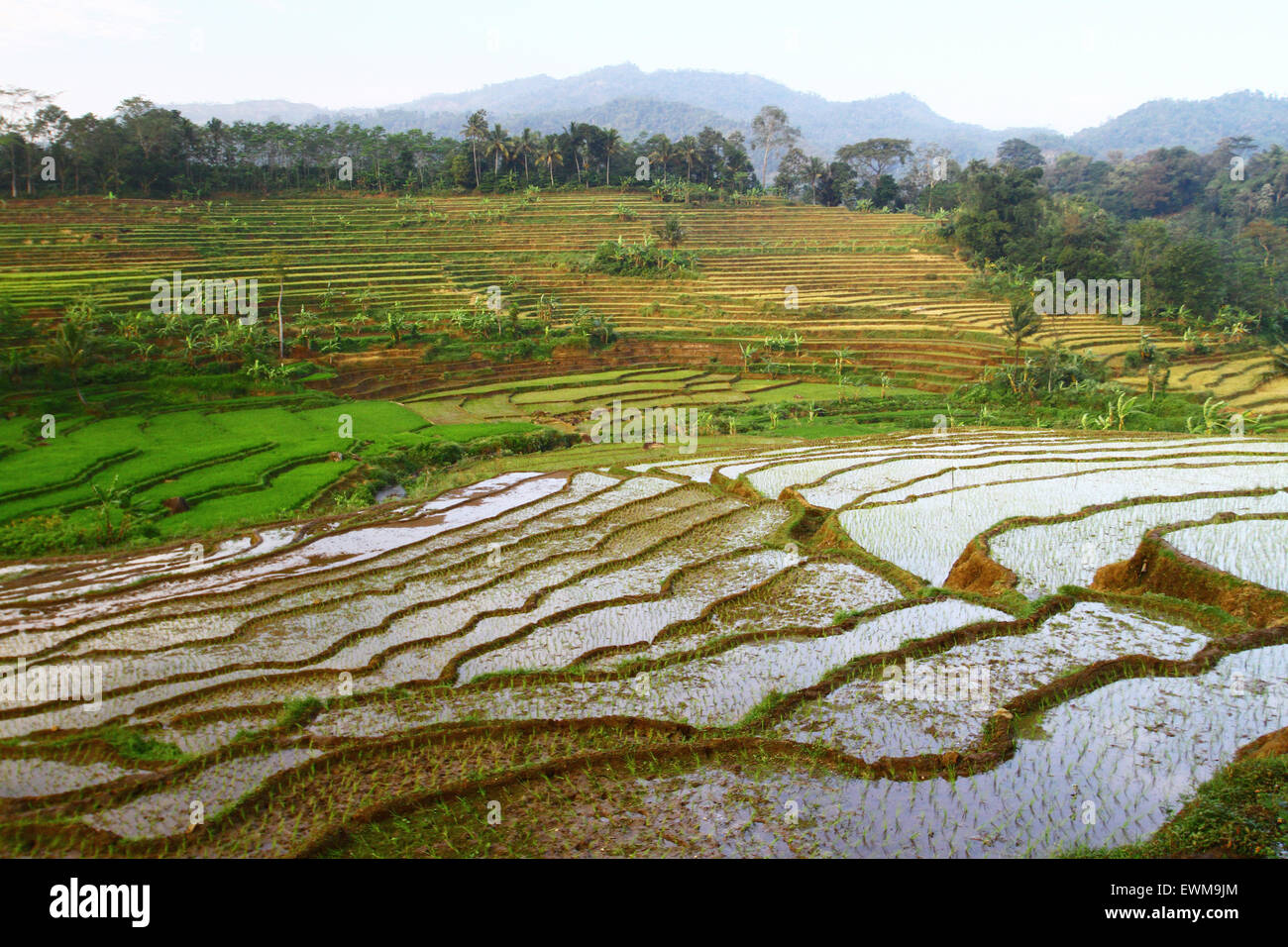 Bawen hi-res stock photography and images - Alamy