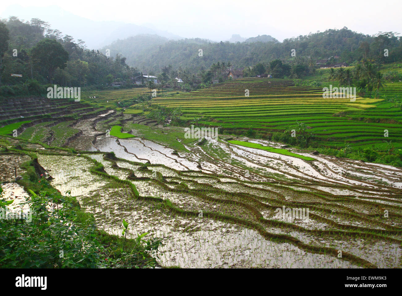 bawen central java Stock Photo - Alamy