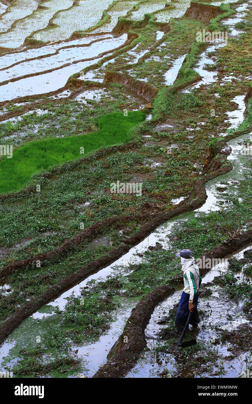 Bawen hi-res stock photography and images - Alamy