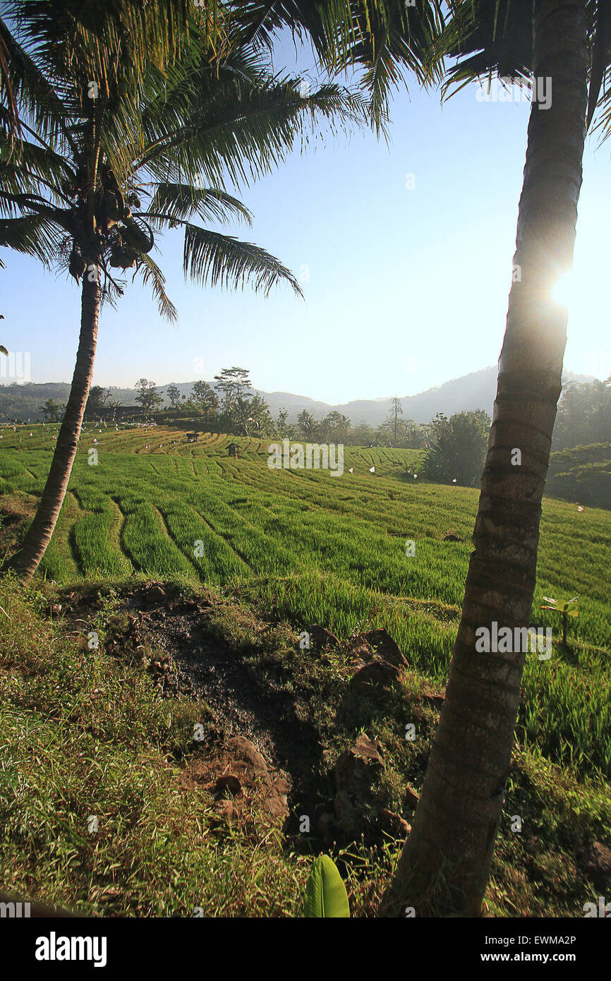 Bawen hi-res stock photography and images - Alamy