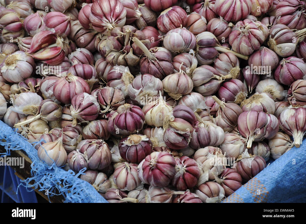 Whole market hi-res stock photography and images - Alamy
