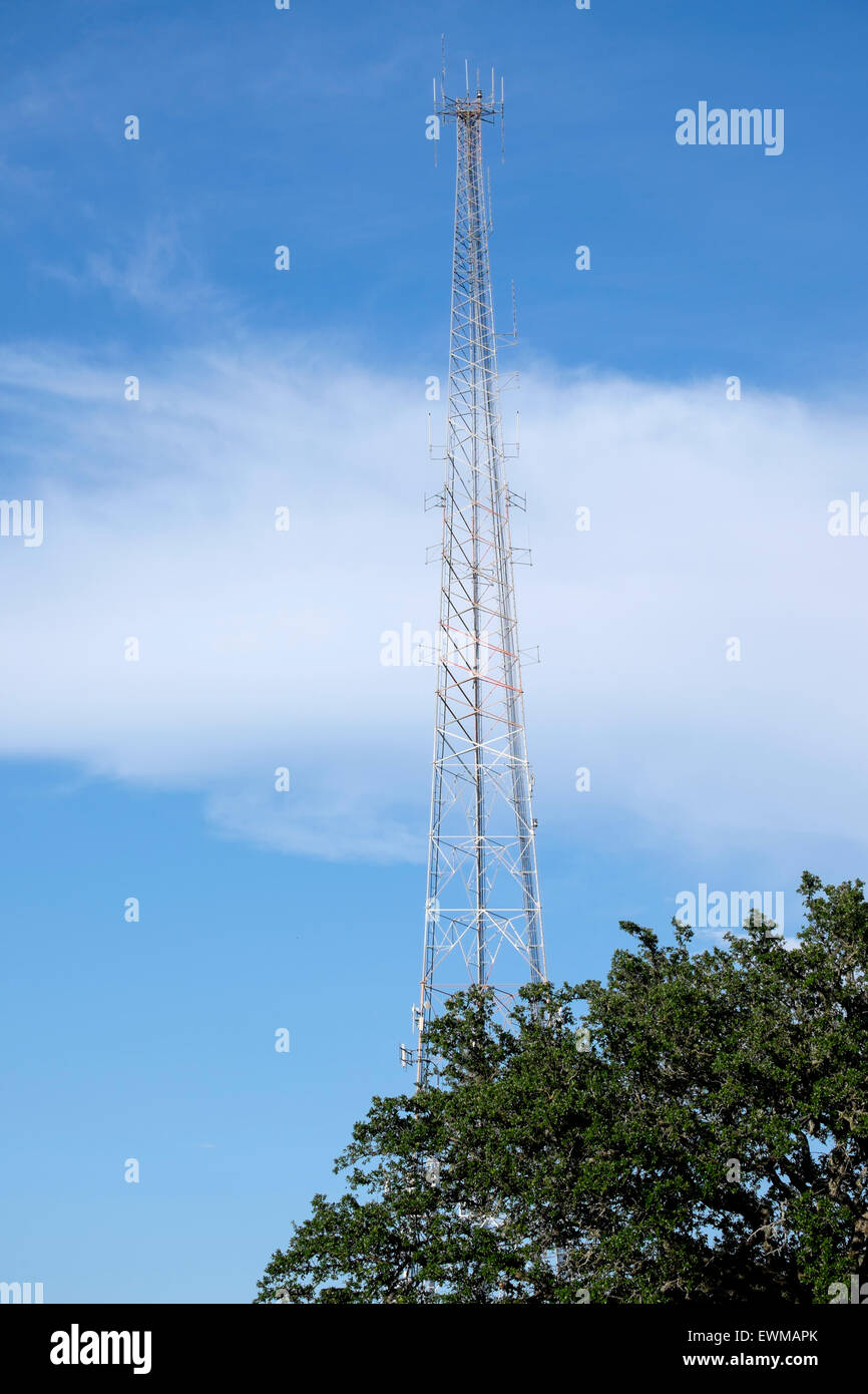 Communication cell tower and antennas with tree in foreground Stock ...