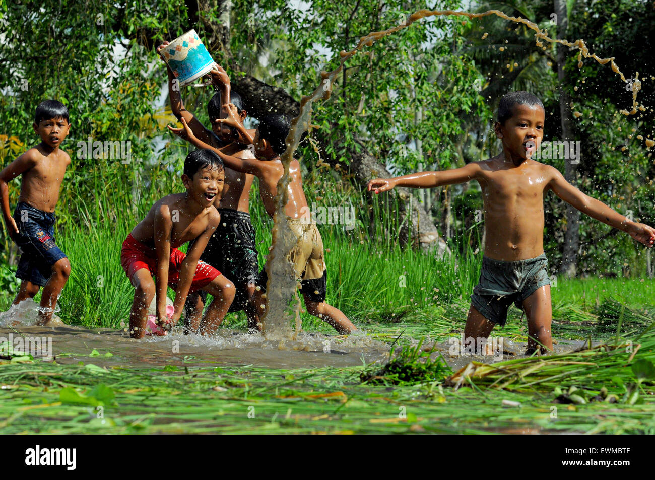 Playing on the paddy field Stock Photo - Alamy
