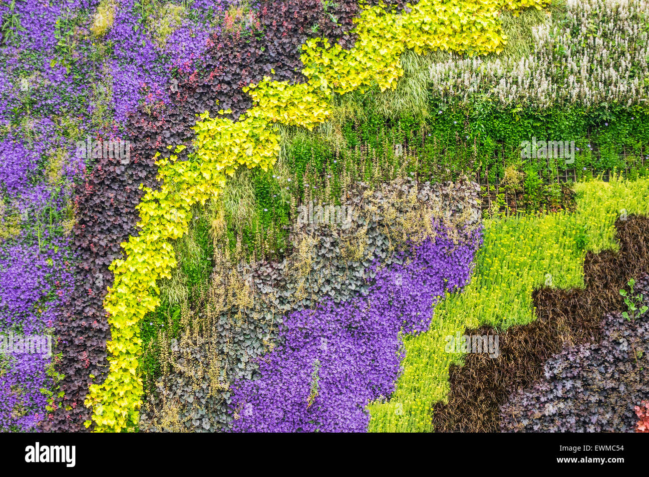 Retail building with colourful plants forming the wall cladding close ...