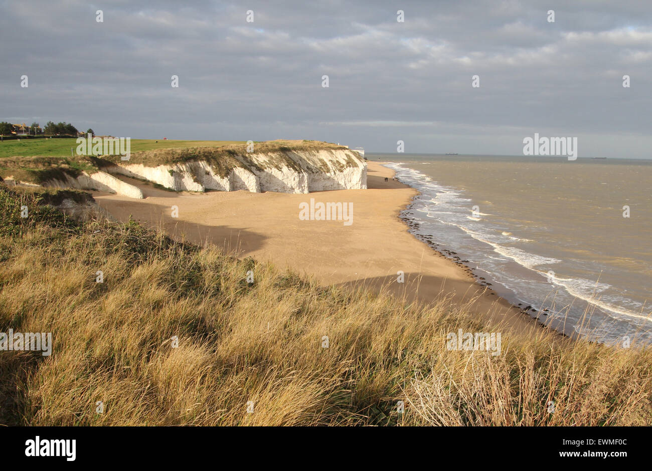 Palm bay hi-res stock photography and images - Alamy