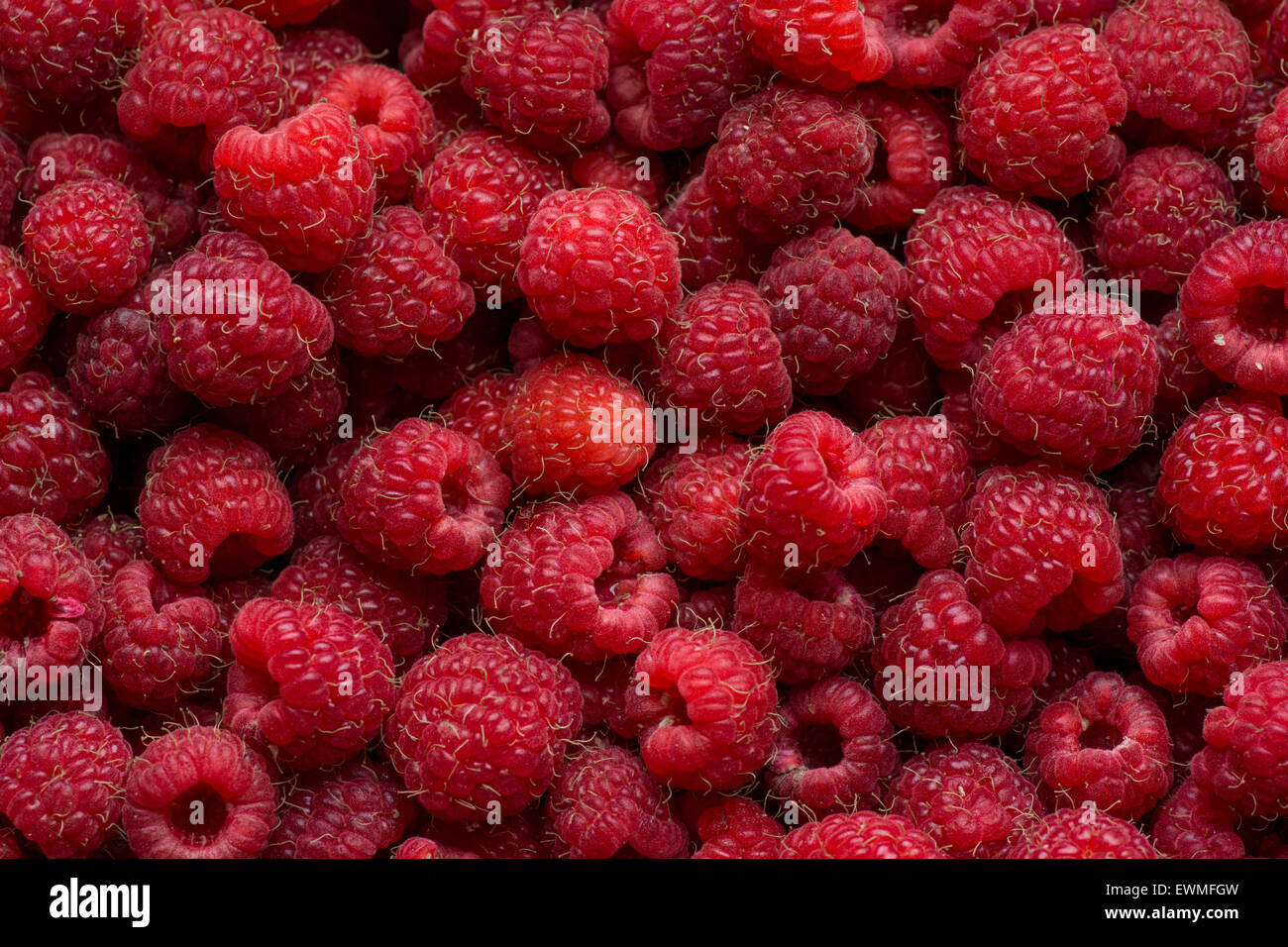Raspberry fruit background Stock Photo - Alamy