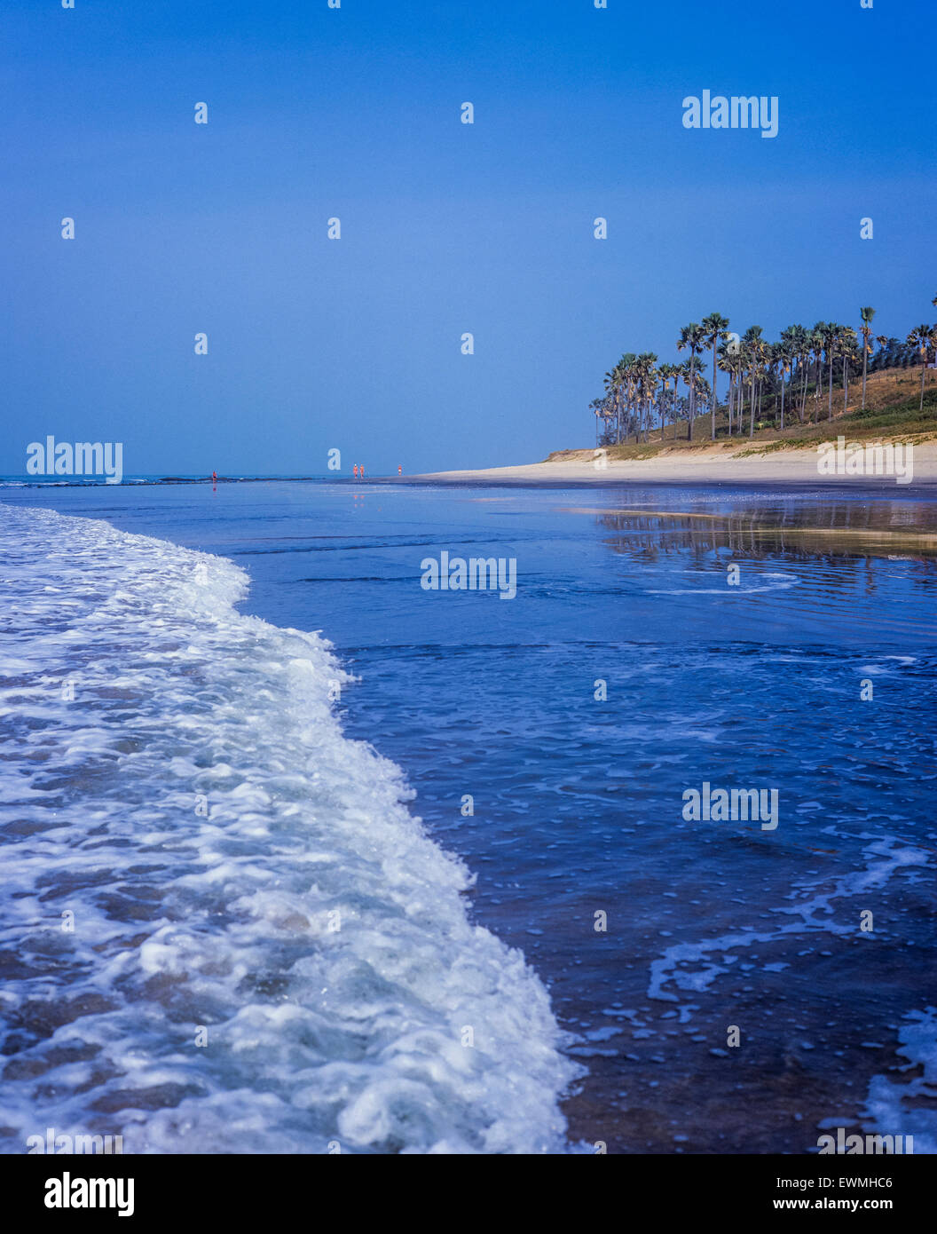 Sea foam and Kotu beach, Gambia, West Africa Stock Photo - Alamy