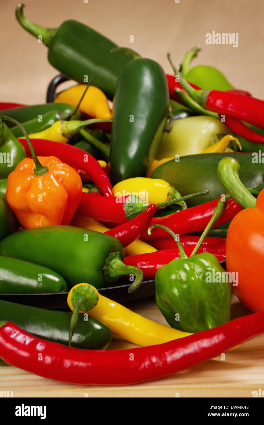 Stock image of chilli pepper still life very colorful an varied Stock ...