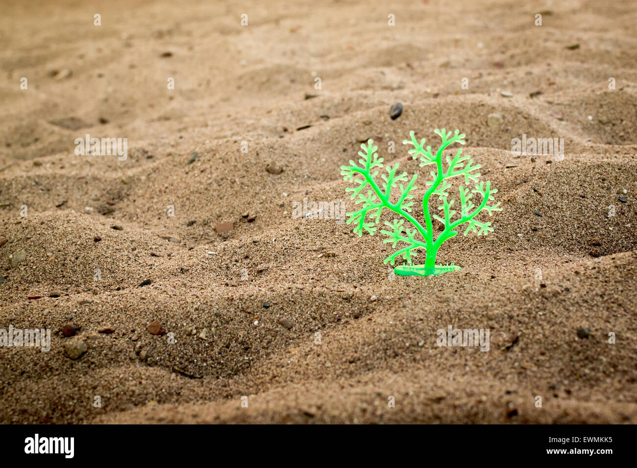 Single tree in drought desert hi-res stock photography and images - Alamy
