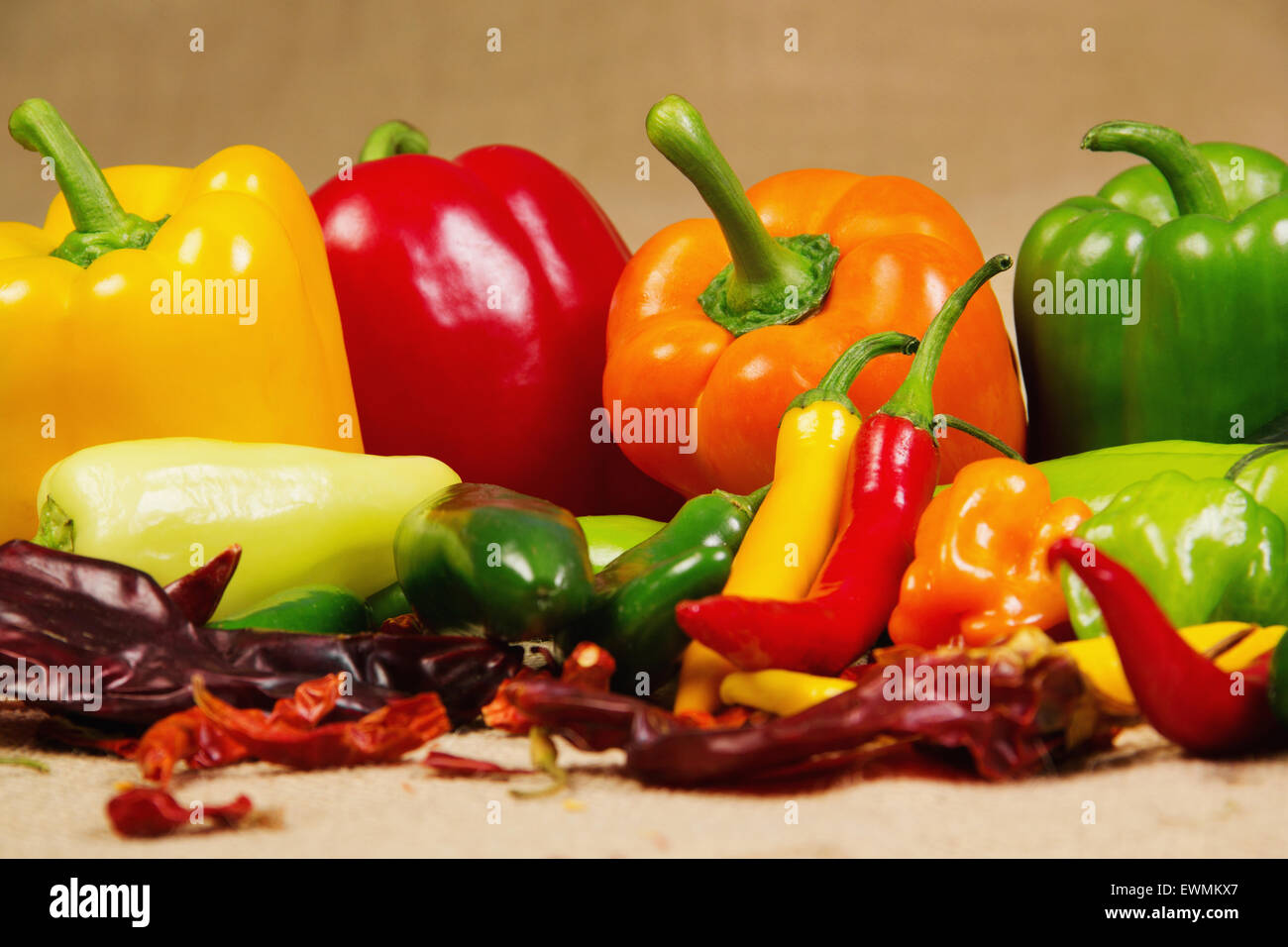 Stock image of chilli pepper still life, very colorful and varied Stock ...