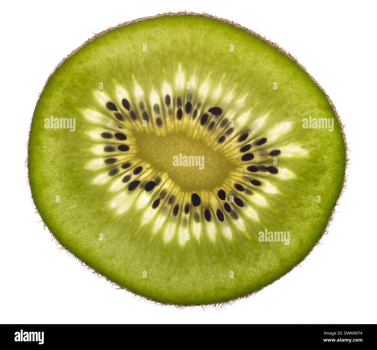 thin translucent sliced kiwifruit in white back Stock Photo - Alamy