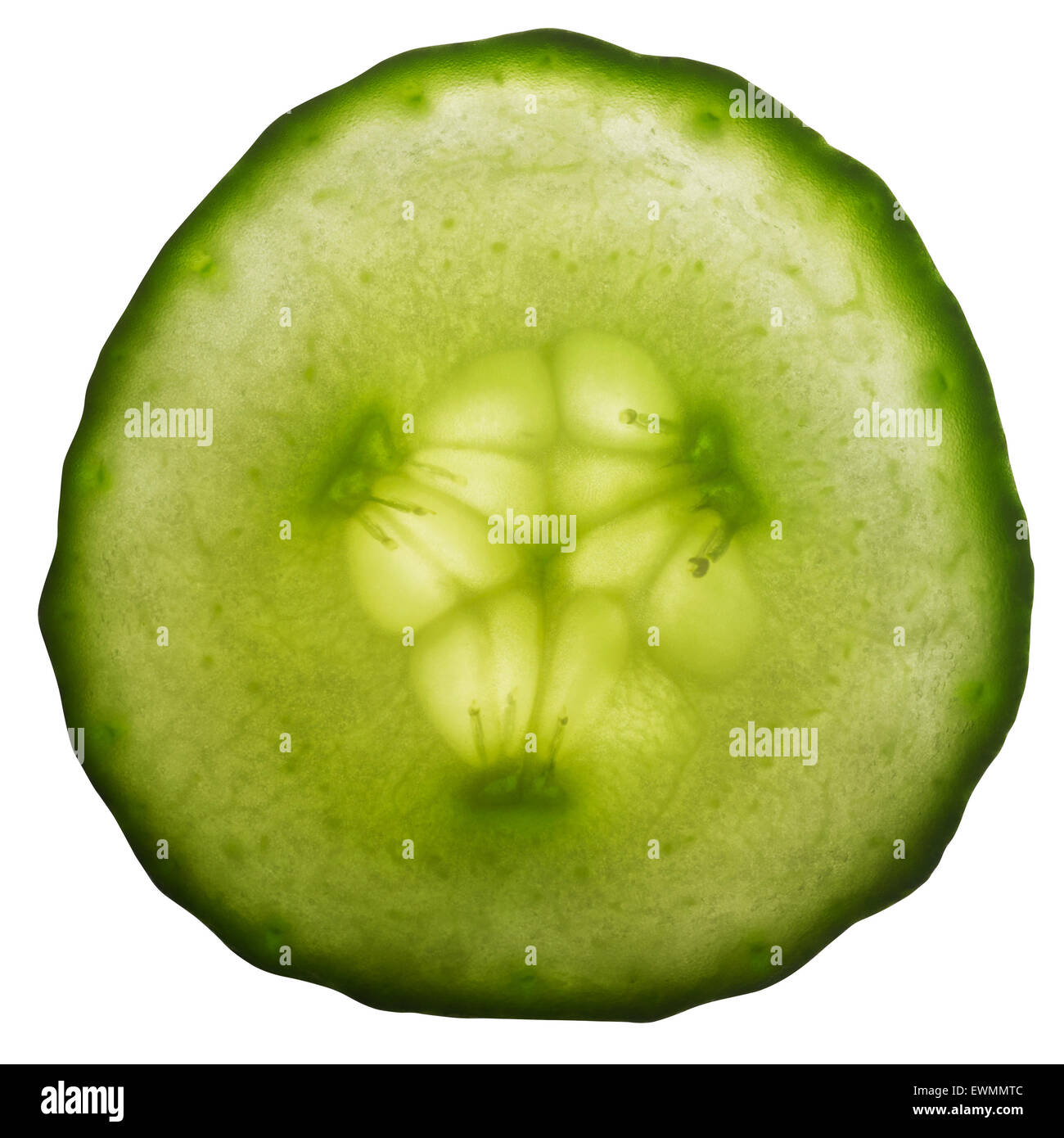 sliced fresh green gherkin in white back Stock Photo - Alamy