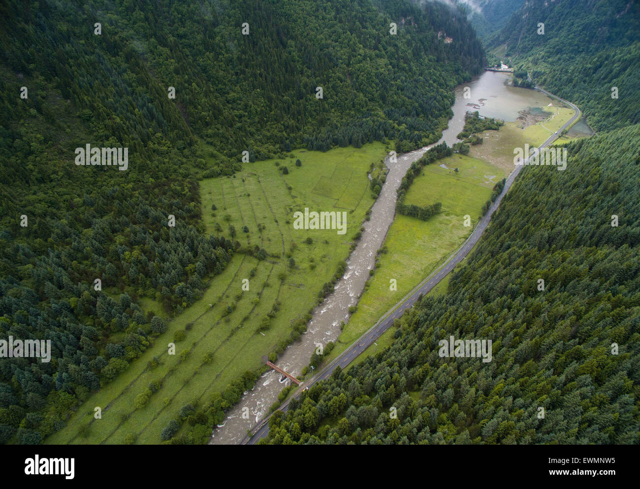 Wolong national nature reserve hi-res stock photography and images - Alamy