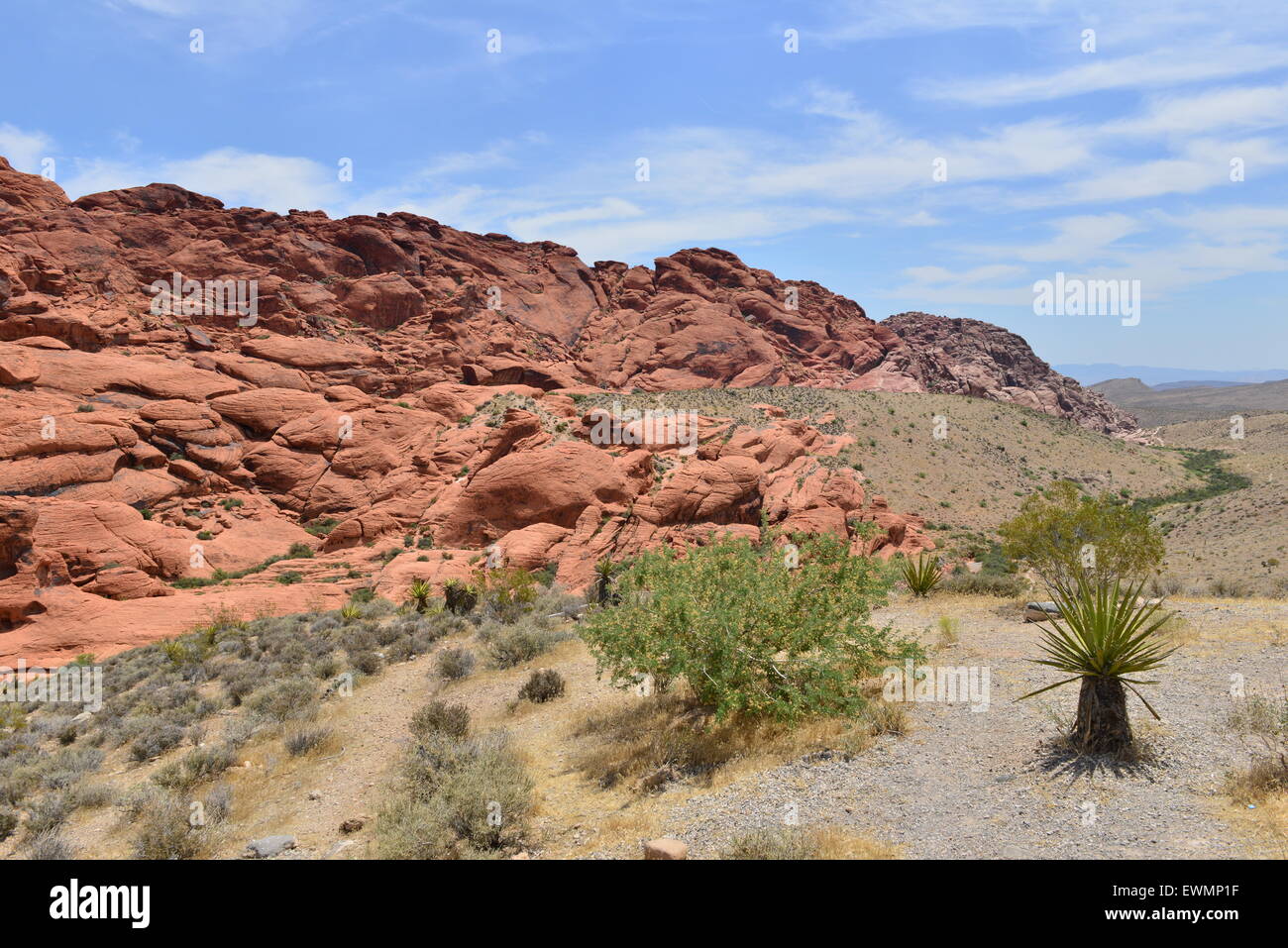 Red Rock Canyon in Nevada, USA Stock Photo - Alamy