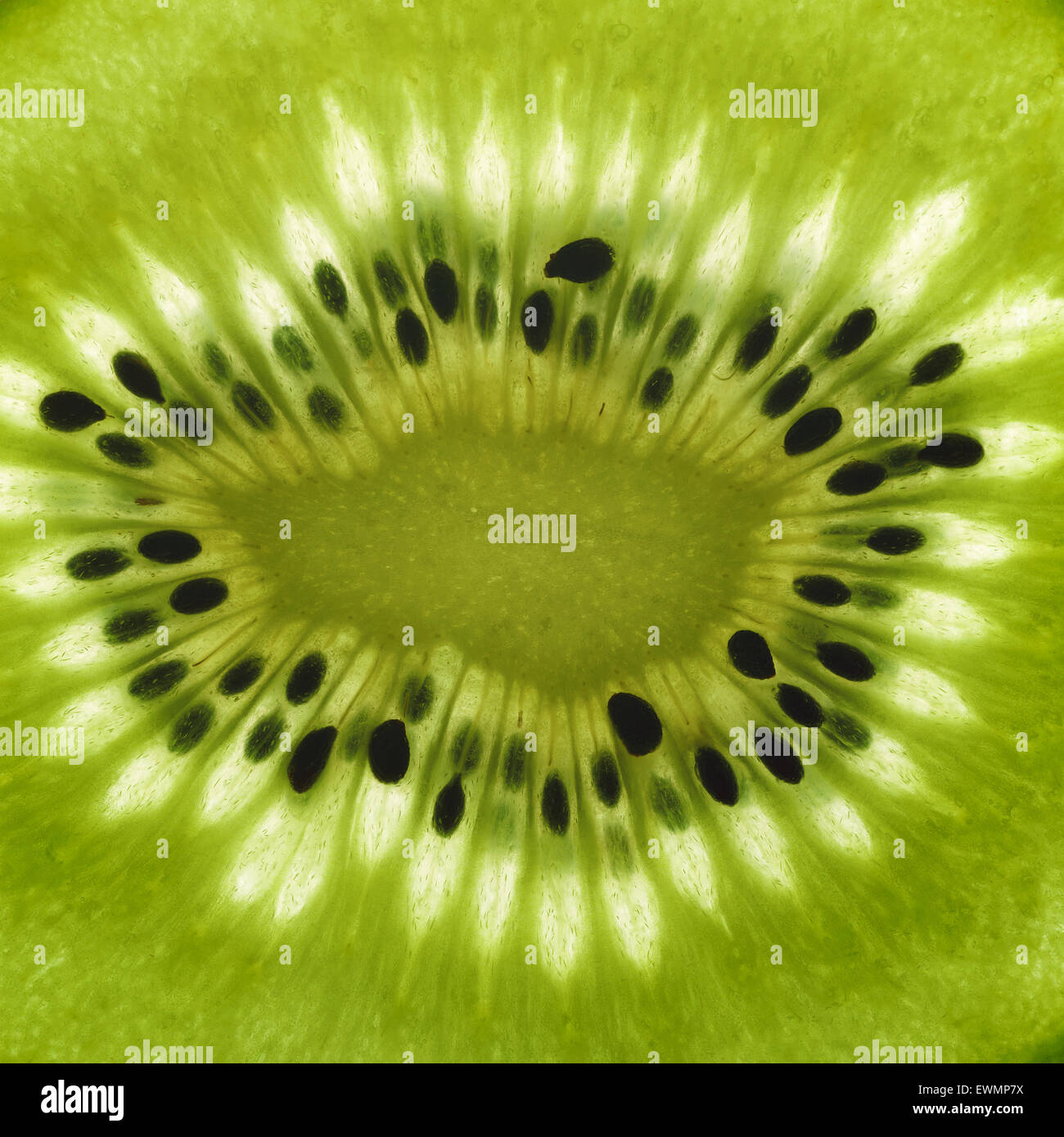 full frame detail of a thin translucent sliced kiwifruit Stock Photo ...
