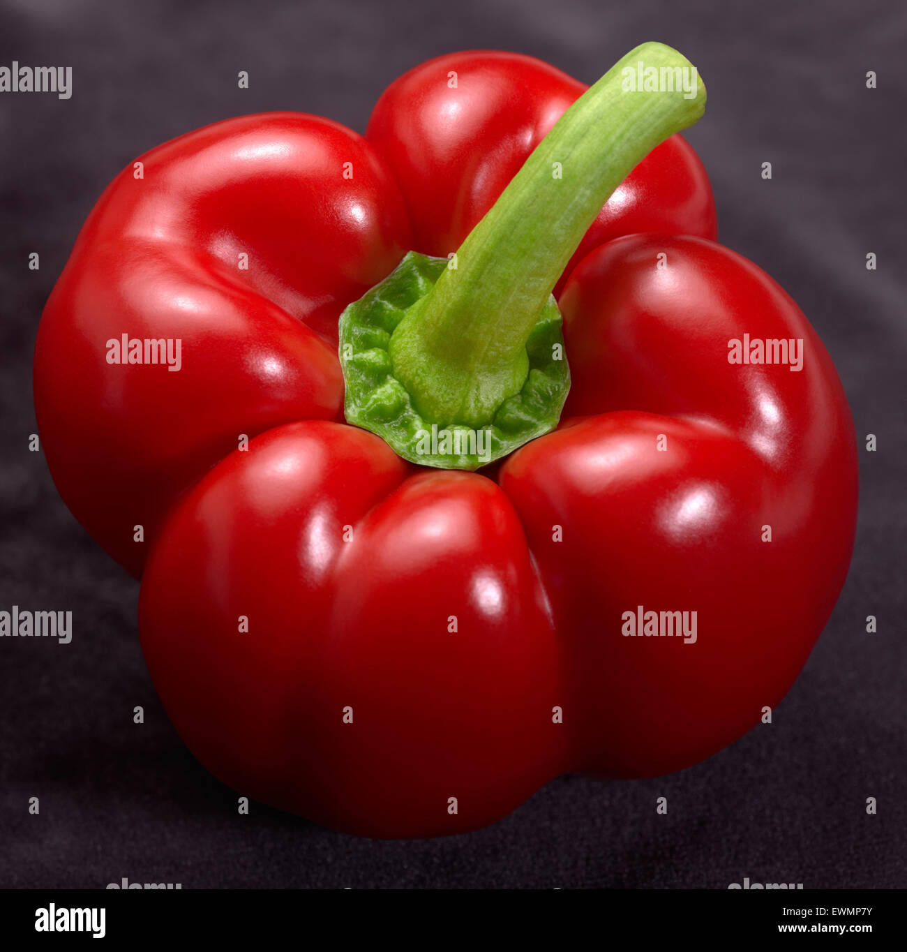 fresh red bell pepper in dark back Stock Photo - Alamy
