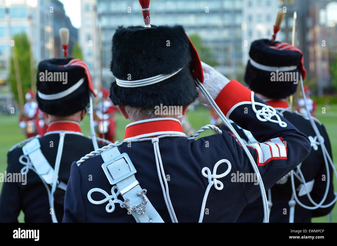 Light Cavalry Stock Photos & Light Cavalry Stock Images - Alamy