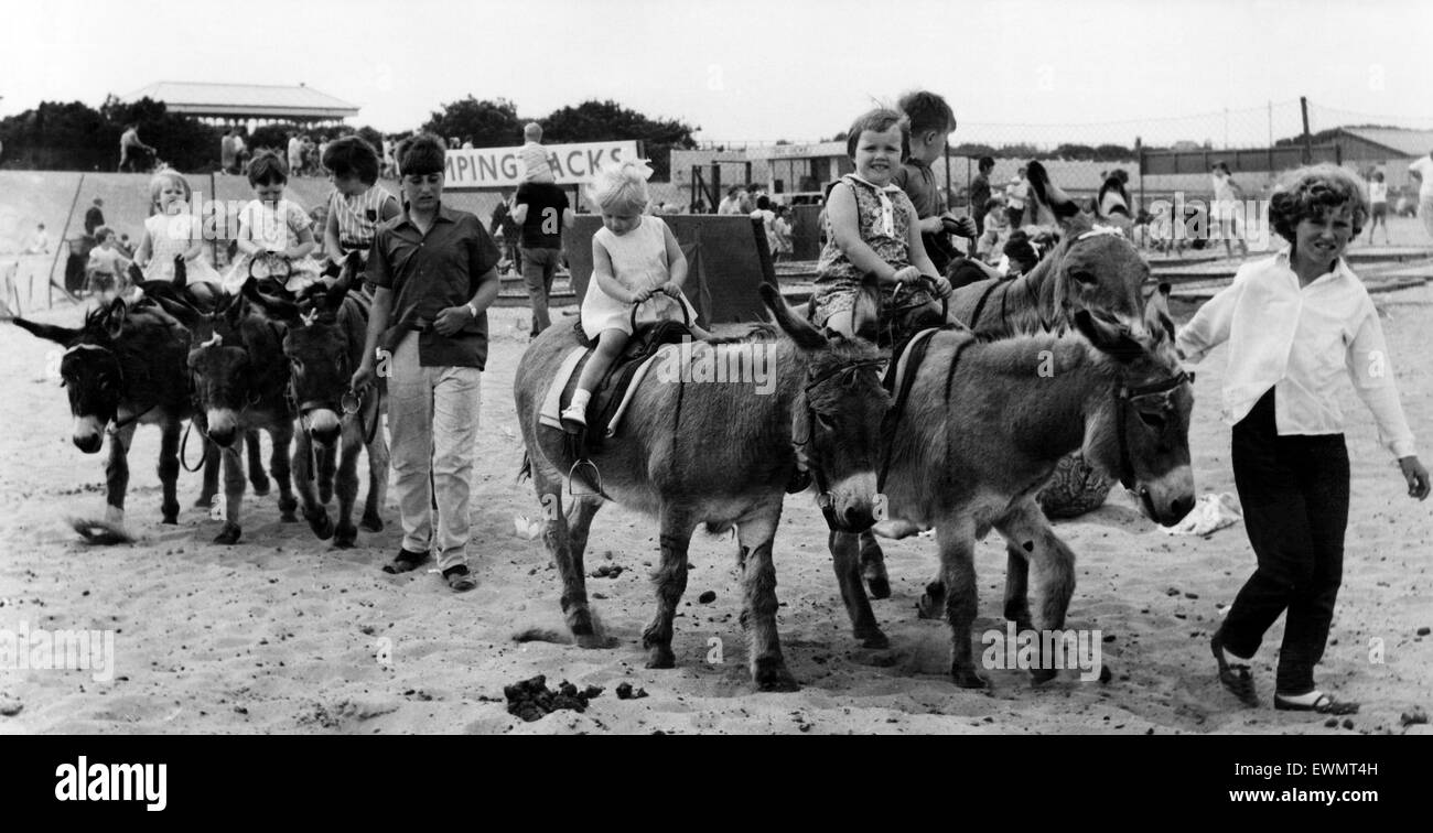 Donkey On Beach Stock Photos & Donkey On Beach Stock Images - Alamy