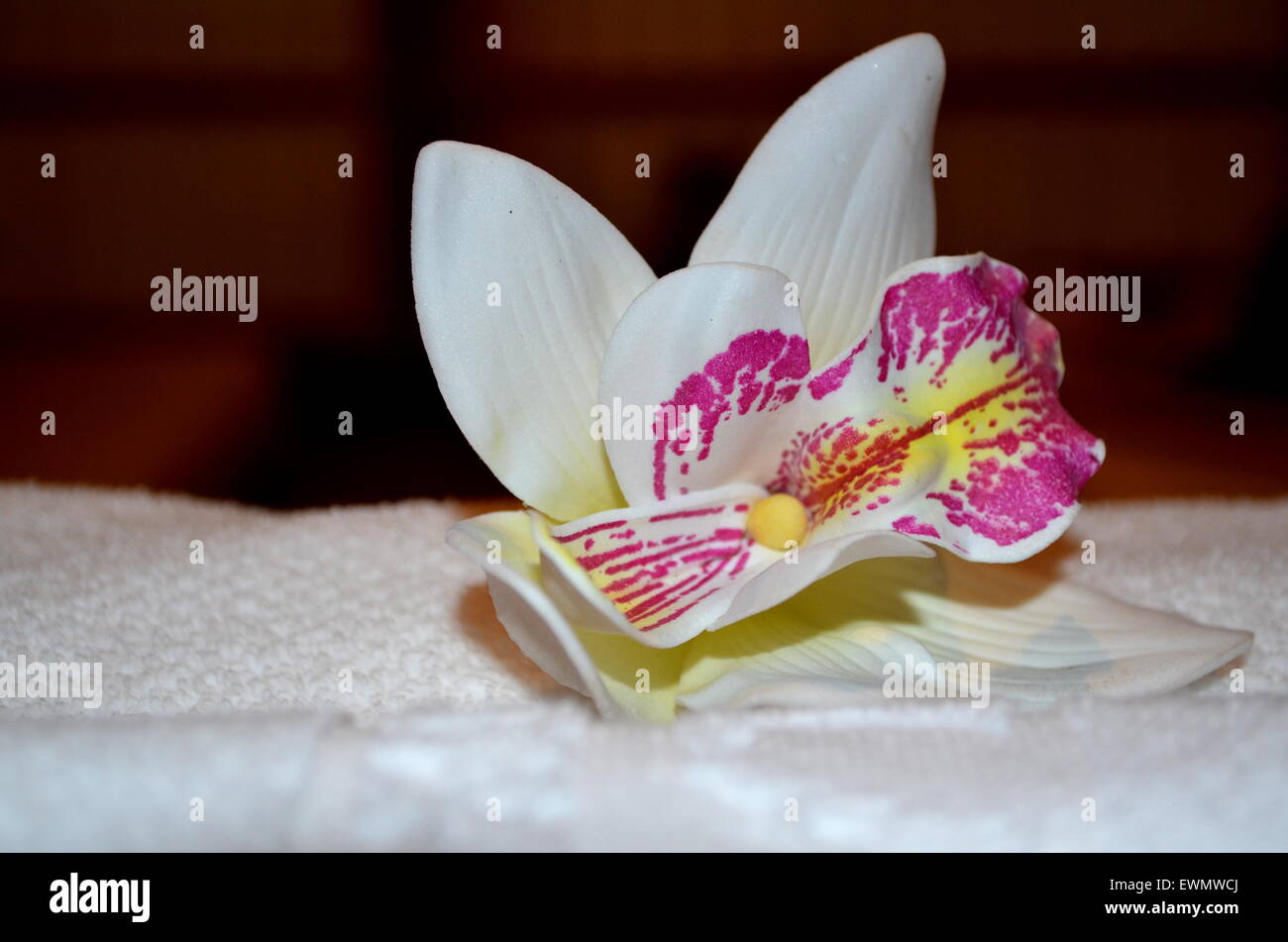 wellness and flowers Stock Photo - Alamy