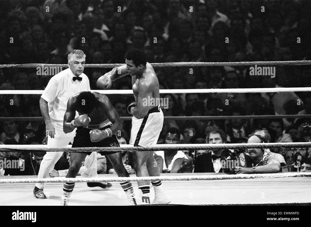 Louisiana superdome Black and White Stock Photos & Images - Alamy