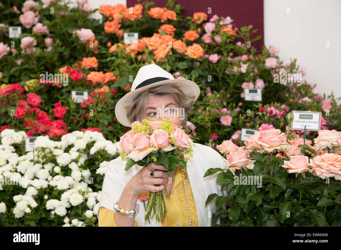 Maureen flowers hi-res stock photography and images - Alamy