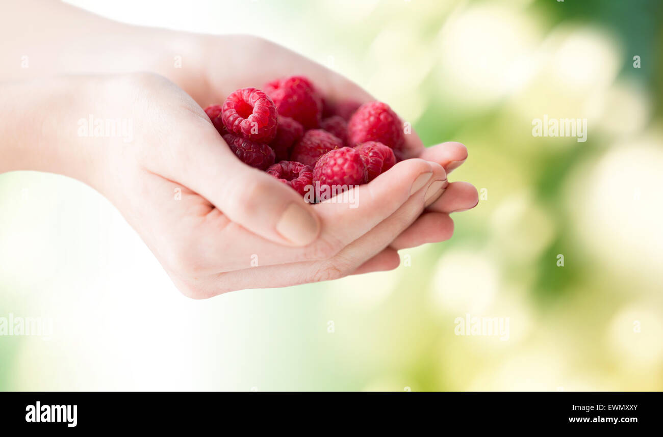 close up of woman hands holding raspberries Stock Photo - Alamy