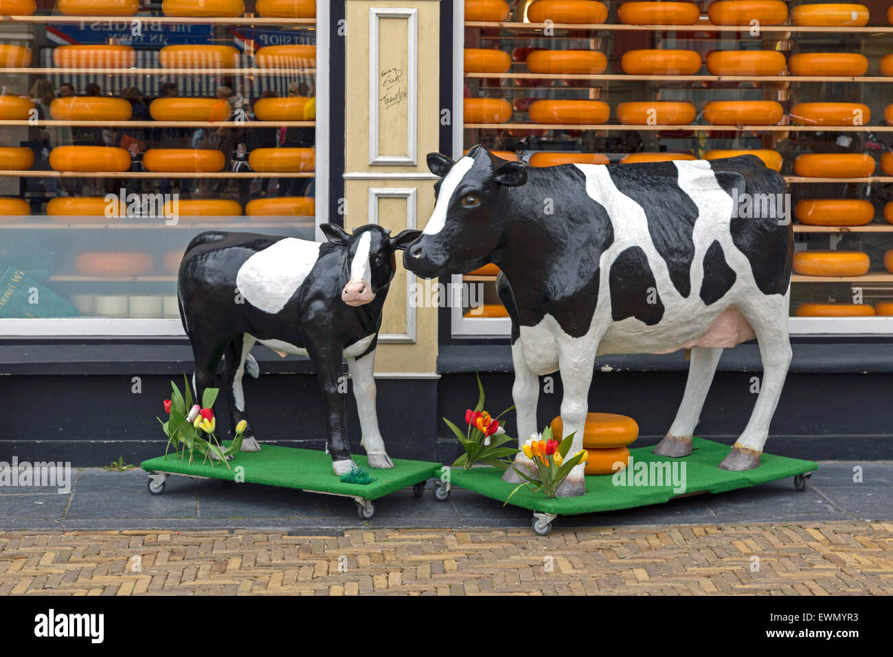 Cow and calf sculptures in front of a shop selling Dutch cheese, in the ...