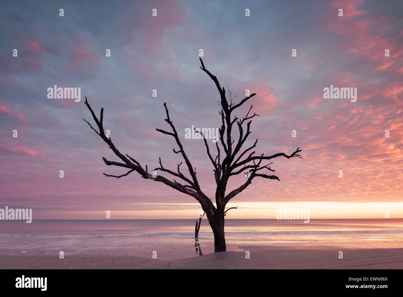 Botany Bay beach at cloudy sunset, Edisto Island, South Carolina, USA ...