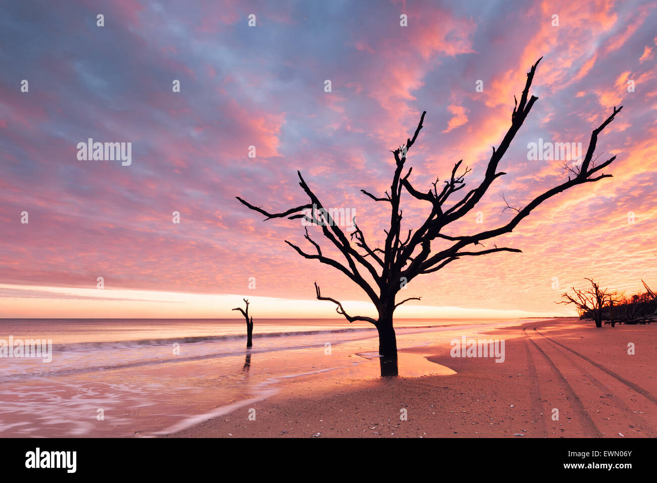 Botany Bay beach at cloudy sunset, Edisto Island, South Carolina, USA ...