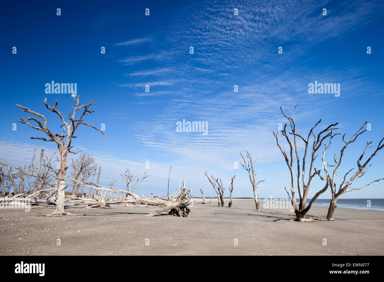 Botany Bay beach, Edisto Island, South Carolina, USA Stock Photo - Alamy