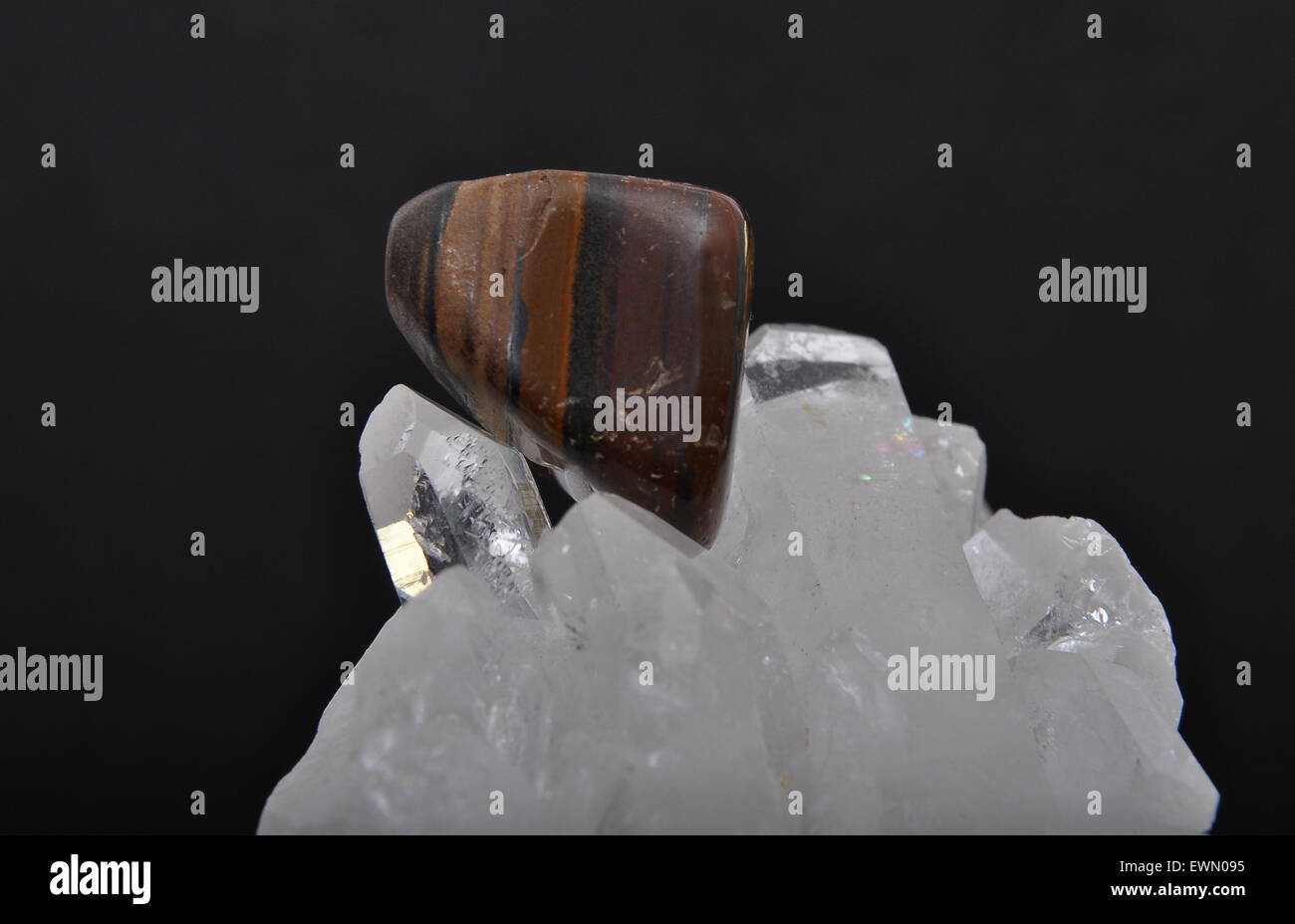 Crystal tiger hi-res stock photography and images - Alamy