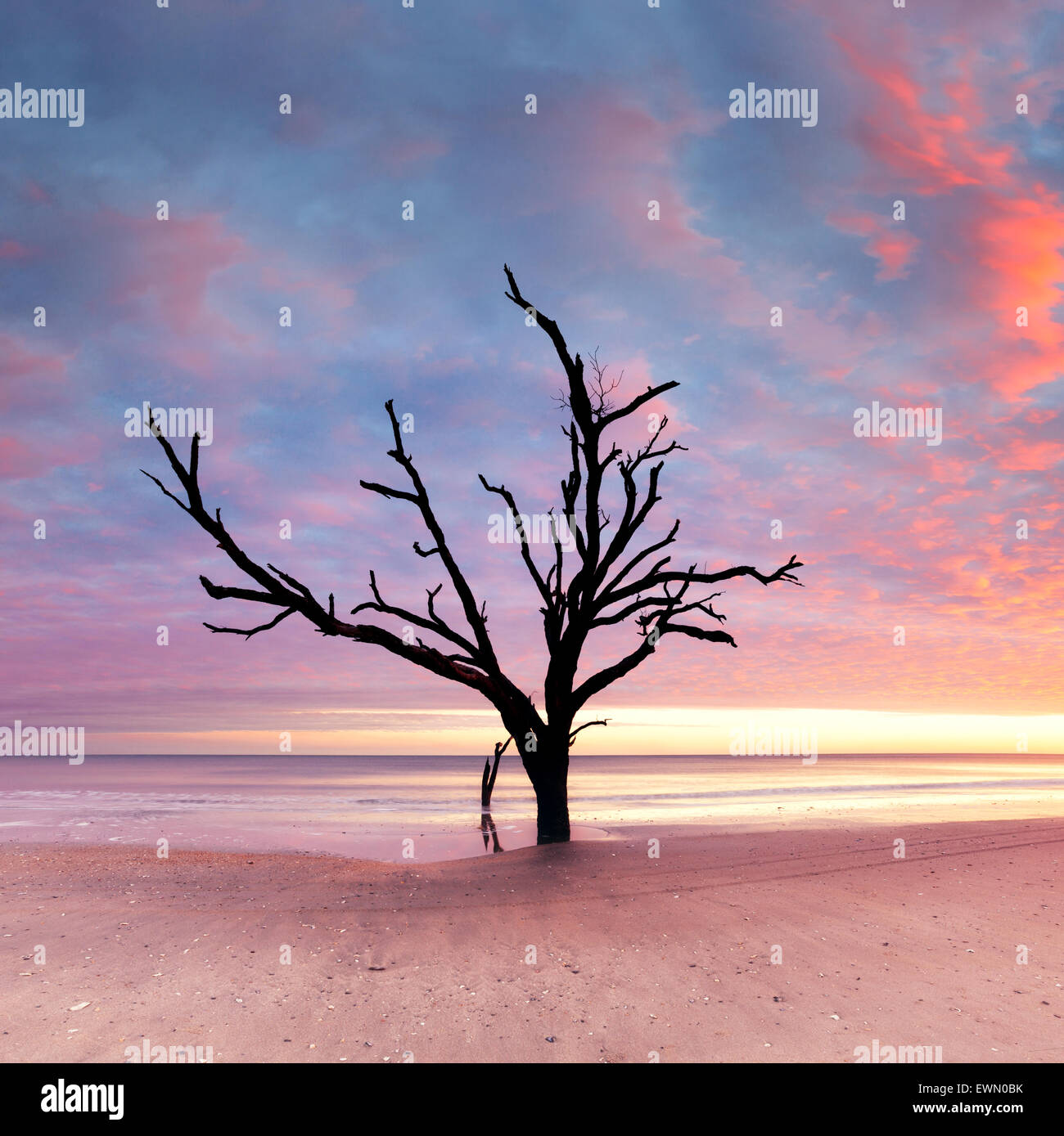 Botany Bay beach at cloudy sunset, Edisto Island, South Carolina, USA ...
