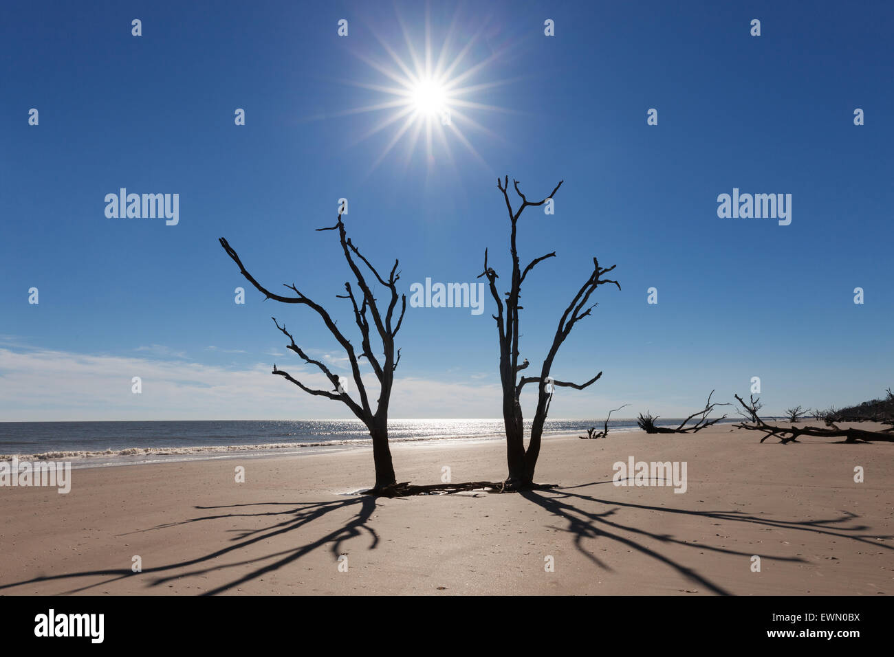 Botany Bay beach, Edisto Island, South Carolina, USA Stock Photo - Alamy