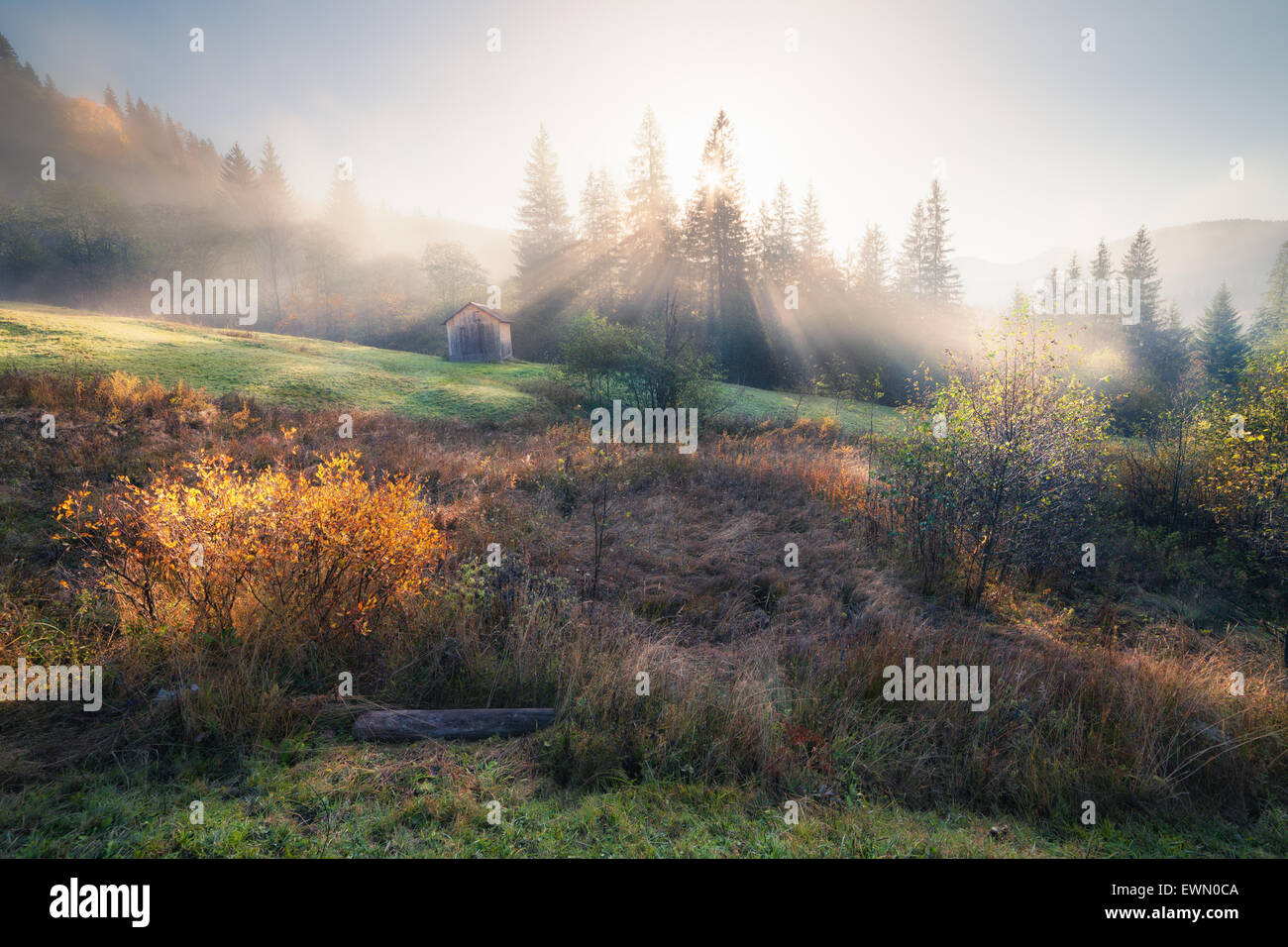 Misty autumn morning on hi-res stock photography and images - Alamy
