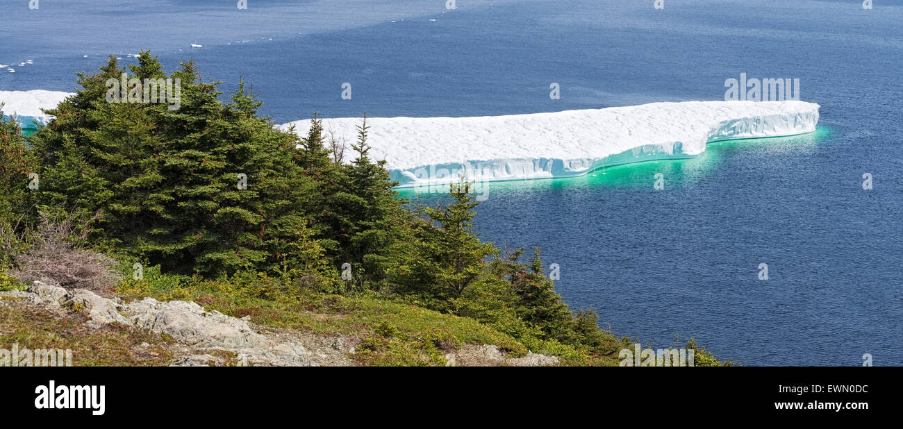 Iceberg floating off the coast near Twillingate, Newfoundland, Canada ...