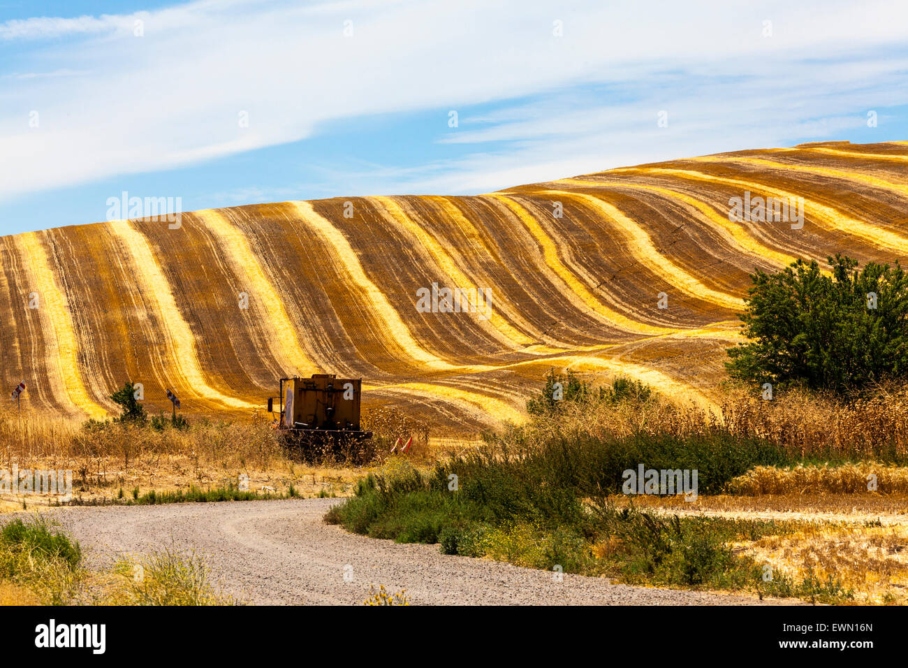A freshly mown field in Antioch California Stock Photo - Alamy